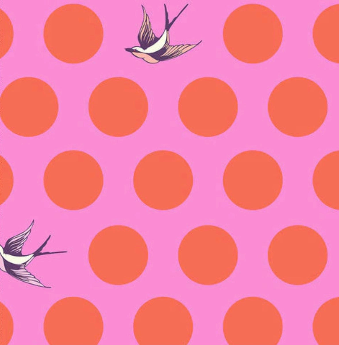 Tula Pink - True Colours - Free Fall Wideback 108” - Honey - Pre Order ...